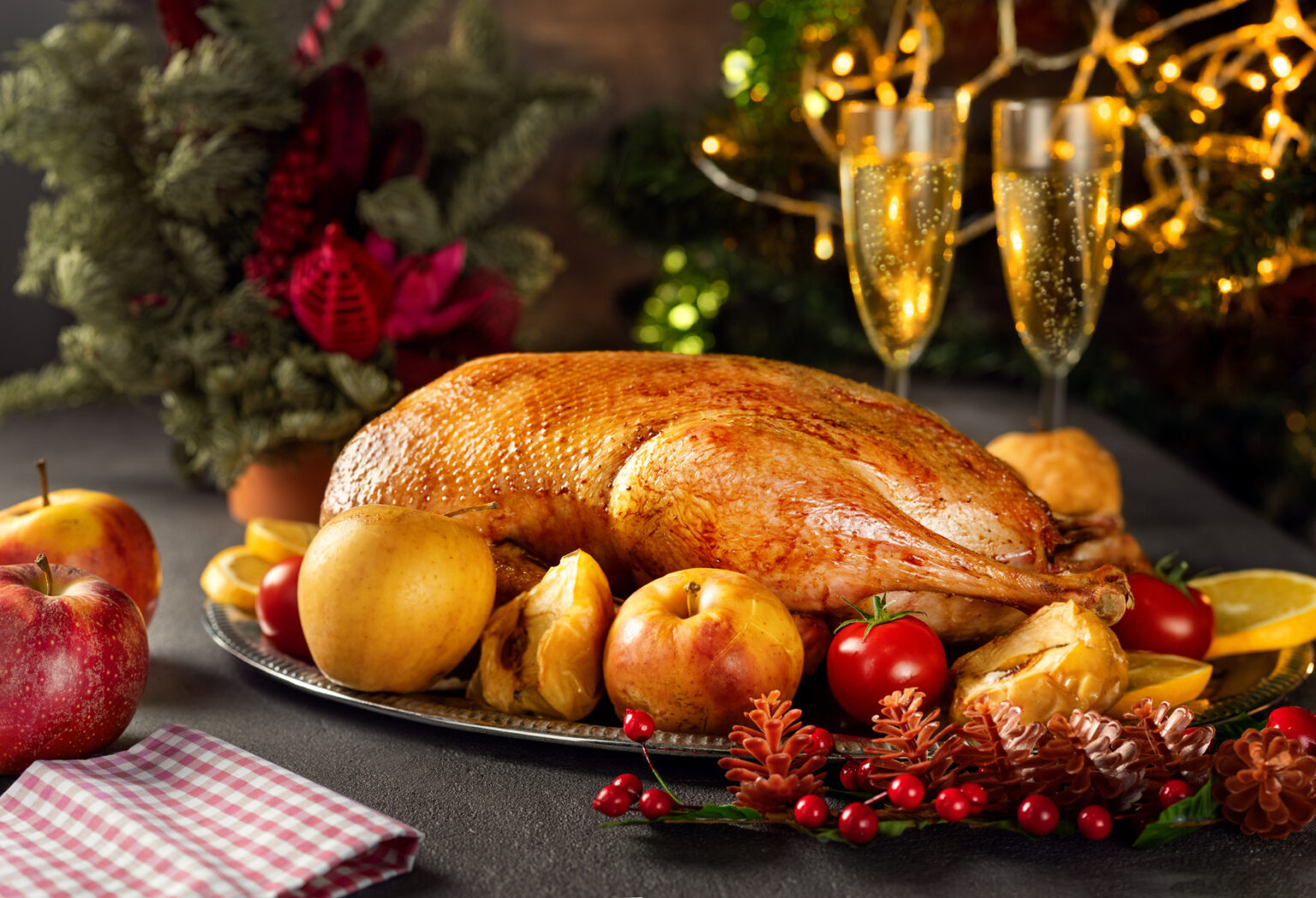 Raising Geese for Meat: A Home-Grown Holiday Goose - Backyard Poultry